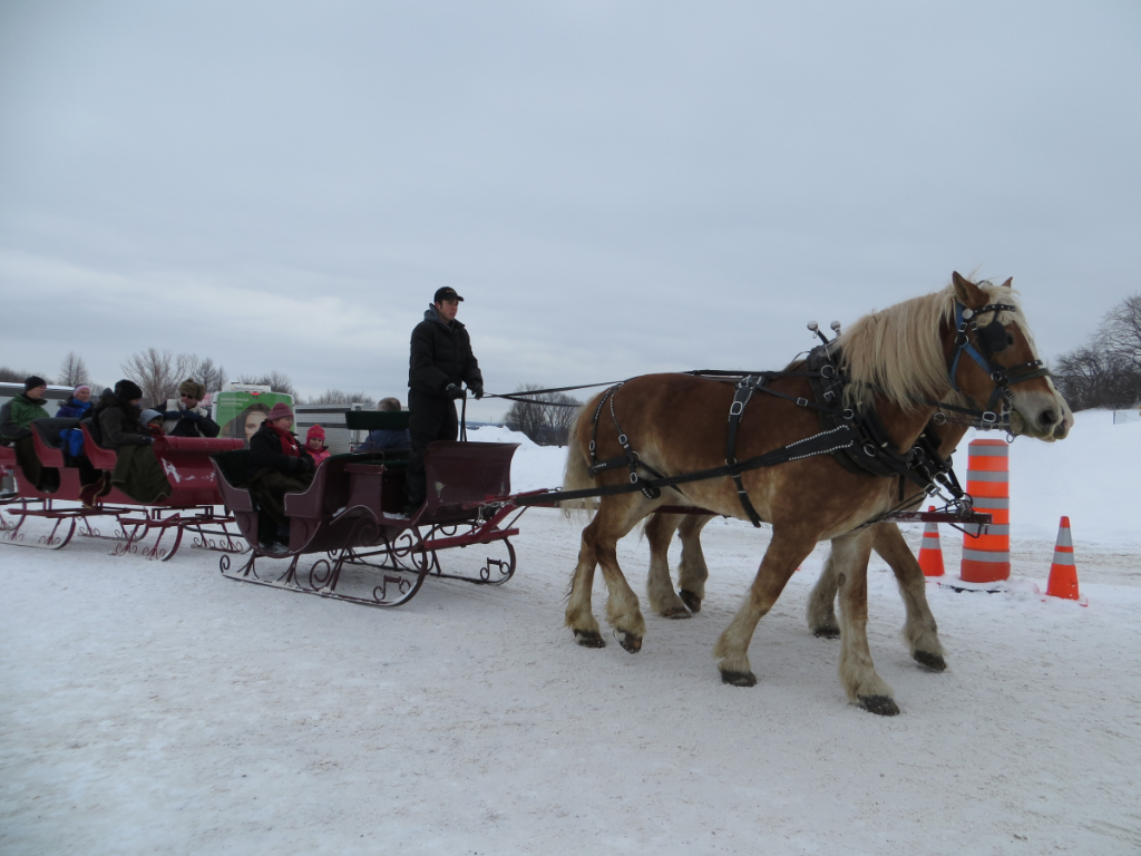 10 Things To Do at the Québec Winter Carnival - Gone With The Family