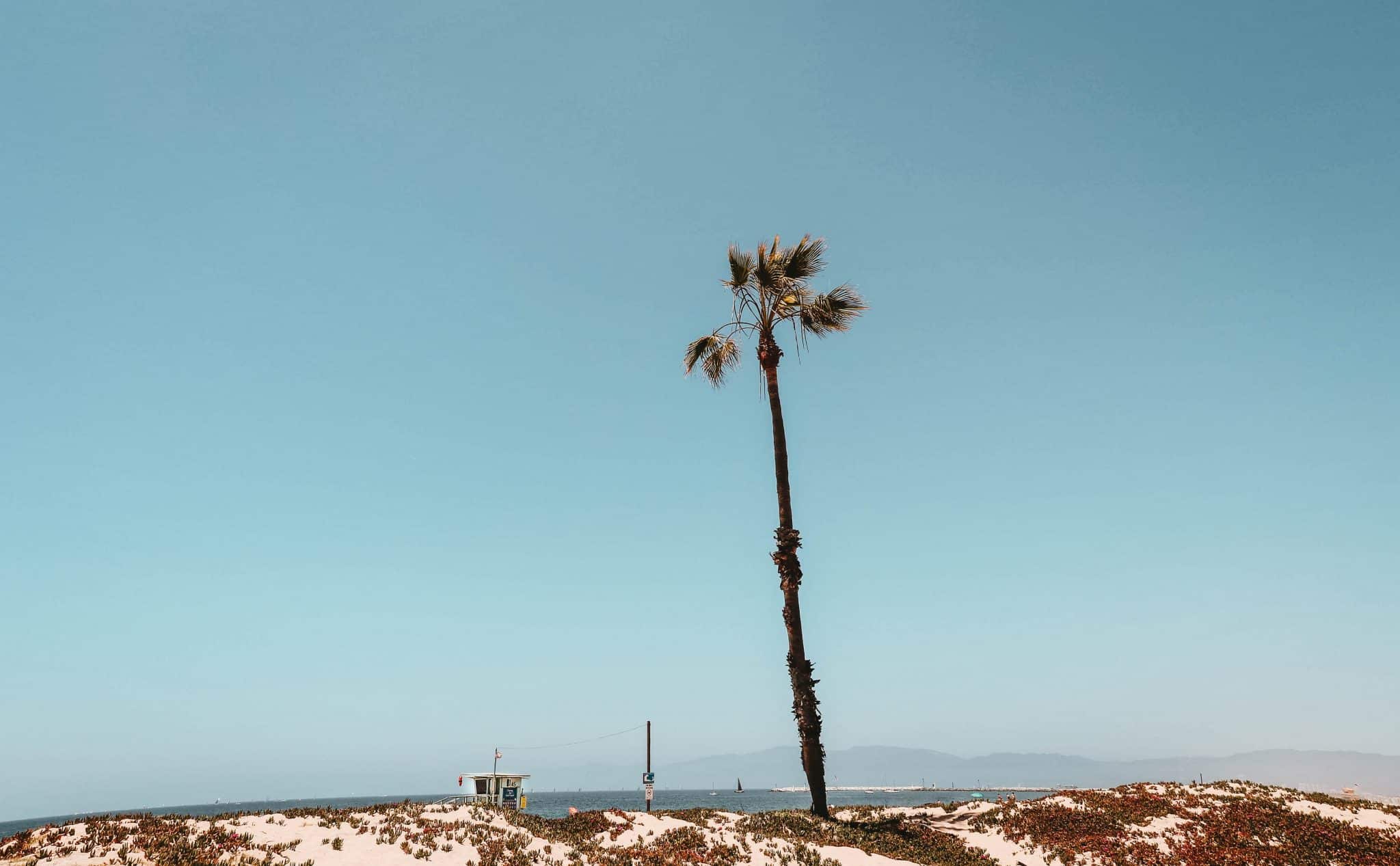 12 Best Things To Do Near LAX for the Whole Family - Gone With The Family