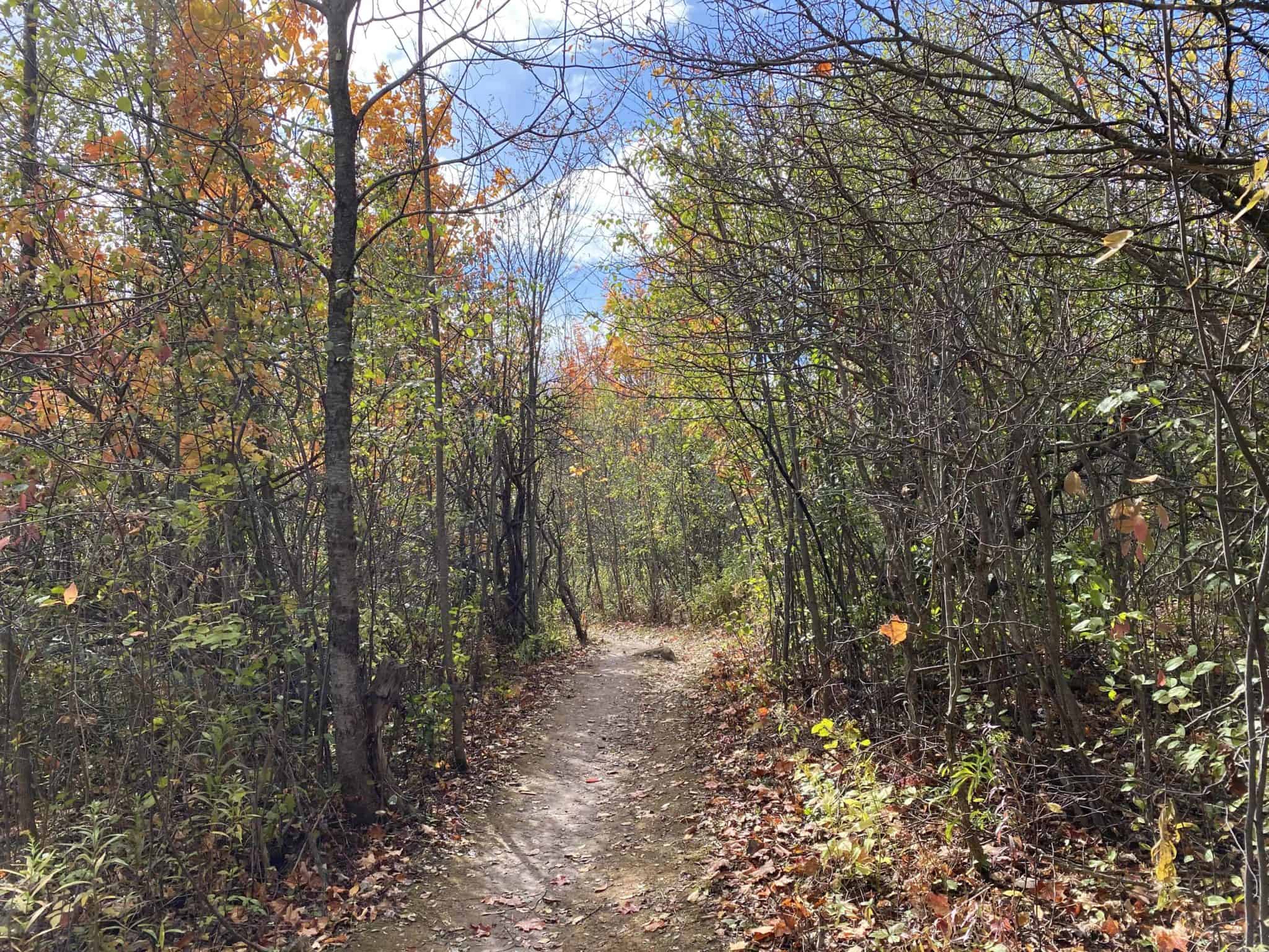 Visiting the Incredible Cheltenham Badlands in Caledon, Ontario - Gone ...