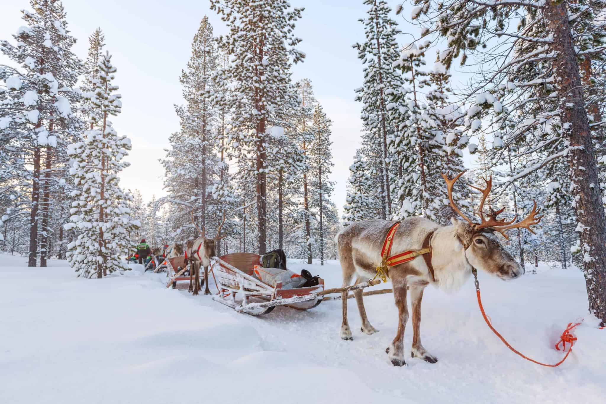 10 Magical Christmas Destinations for Your Travel Bucket List - Gone ...