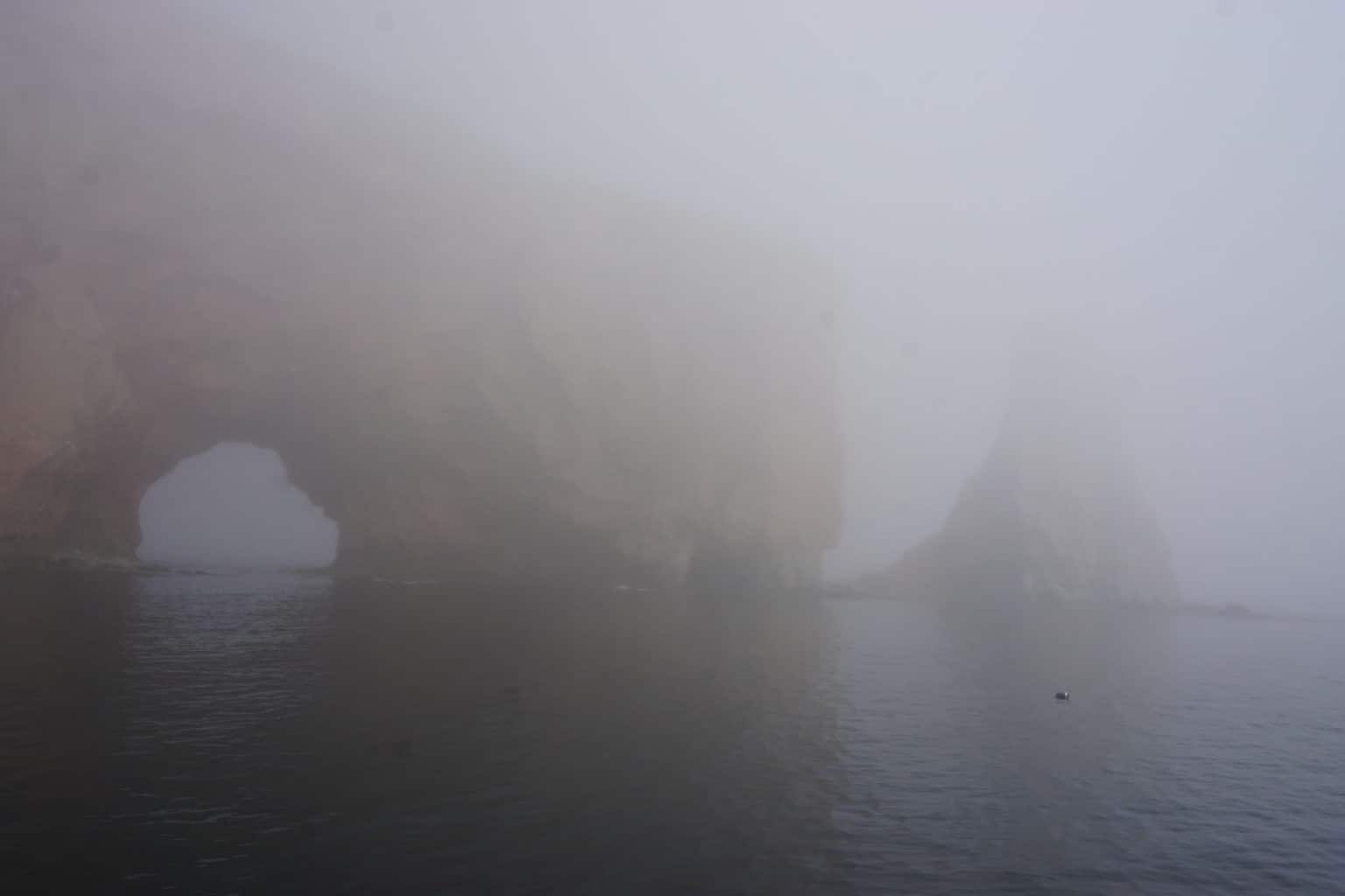 Visiting Percé Rock and Bonaventure Island - Gaspé Peninsula, Quebec ...