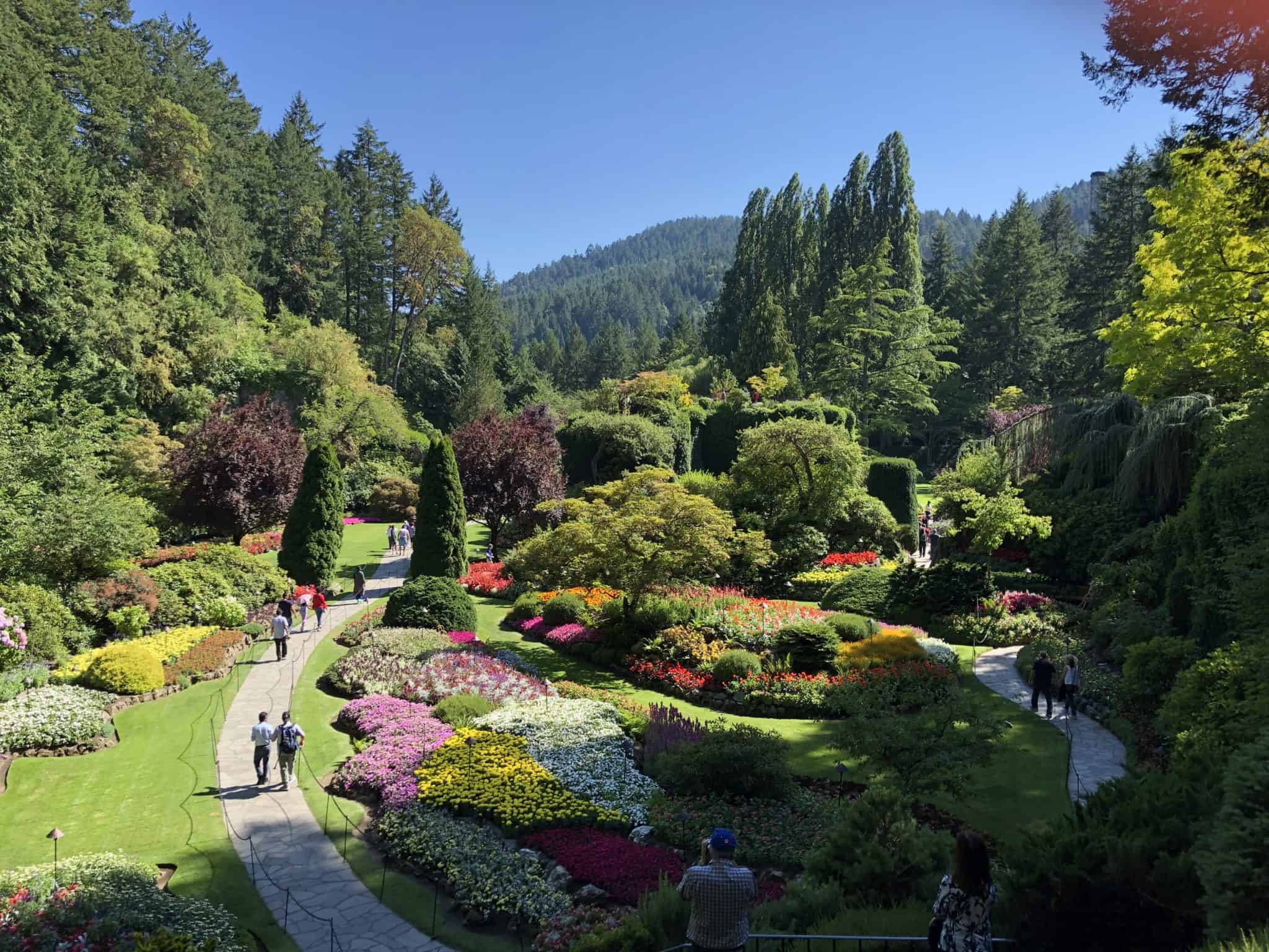 10 Fun Things To Do in Victoria, British Columbia - Gone With The Family