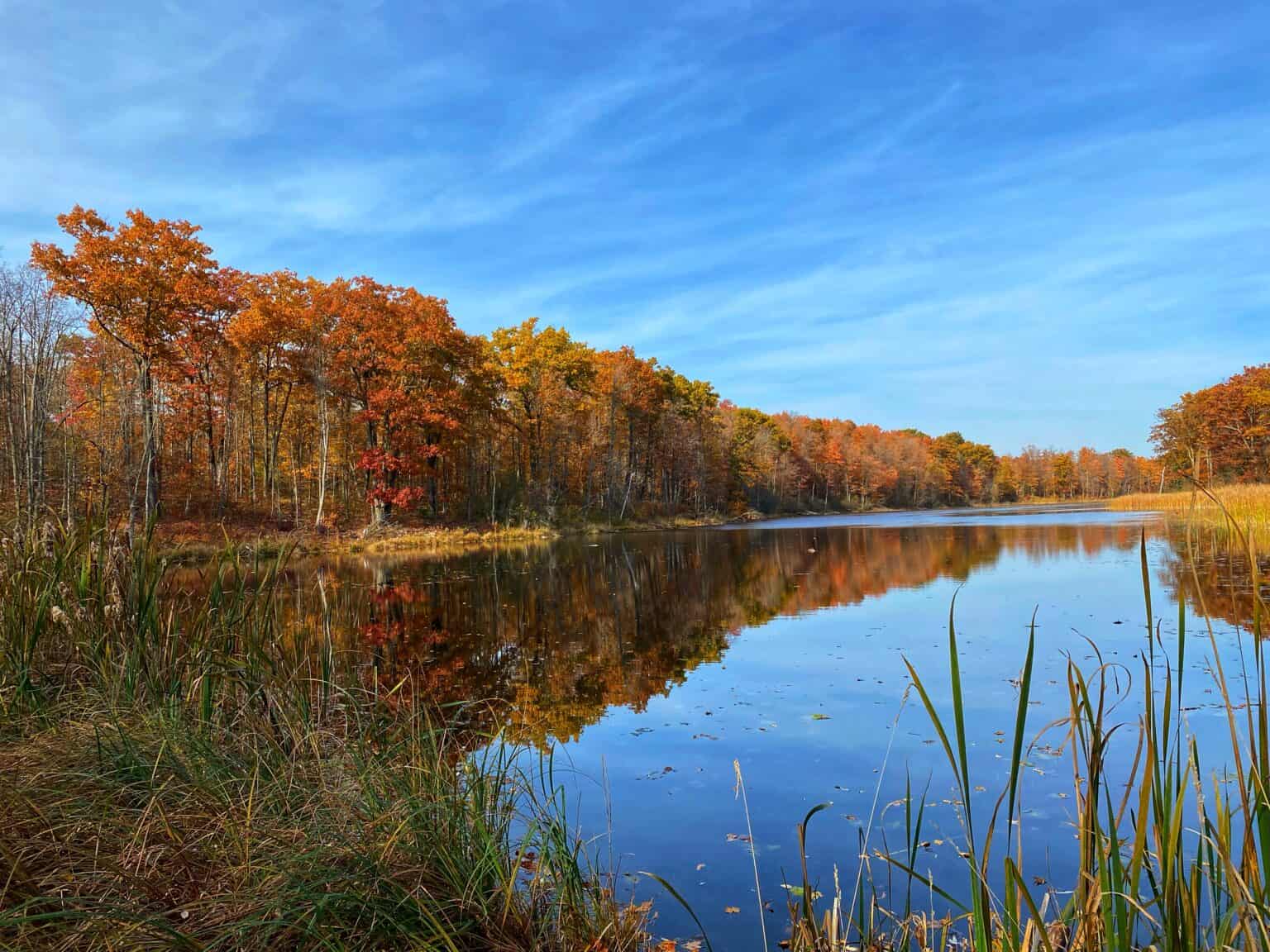 12 of the Best Fall Hikes in Halton and Peel - Gone With The Family