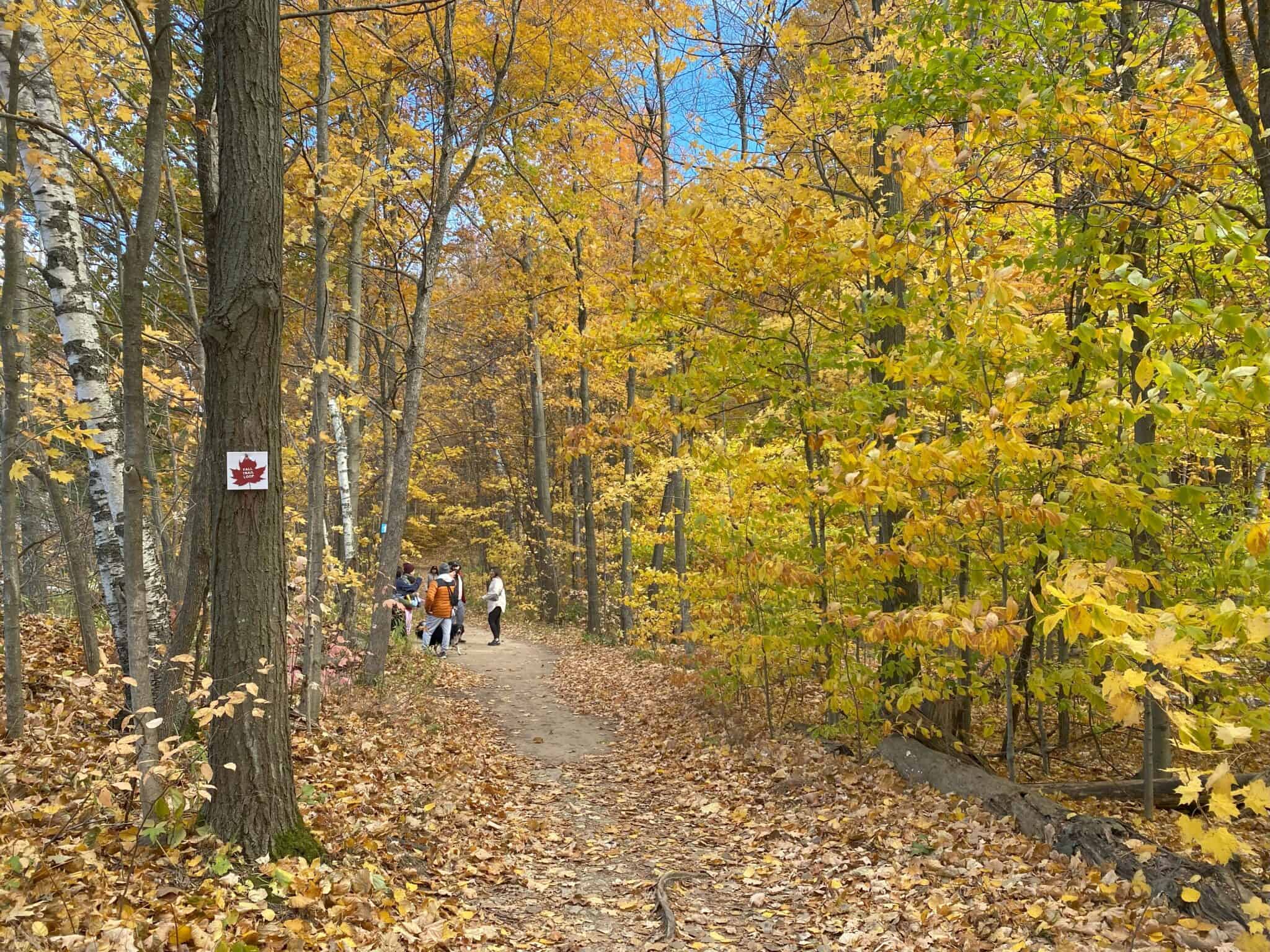 Outdoor Fun at Kelso Conservation Area in Milton, Ontario - Gone With ...