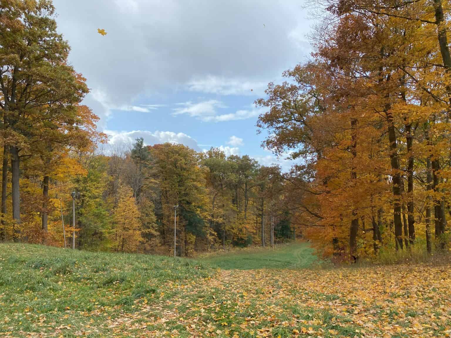 Outdoor Fun at Kelso Conservation Area in Milton, Ontario - Gone With ...