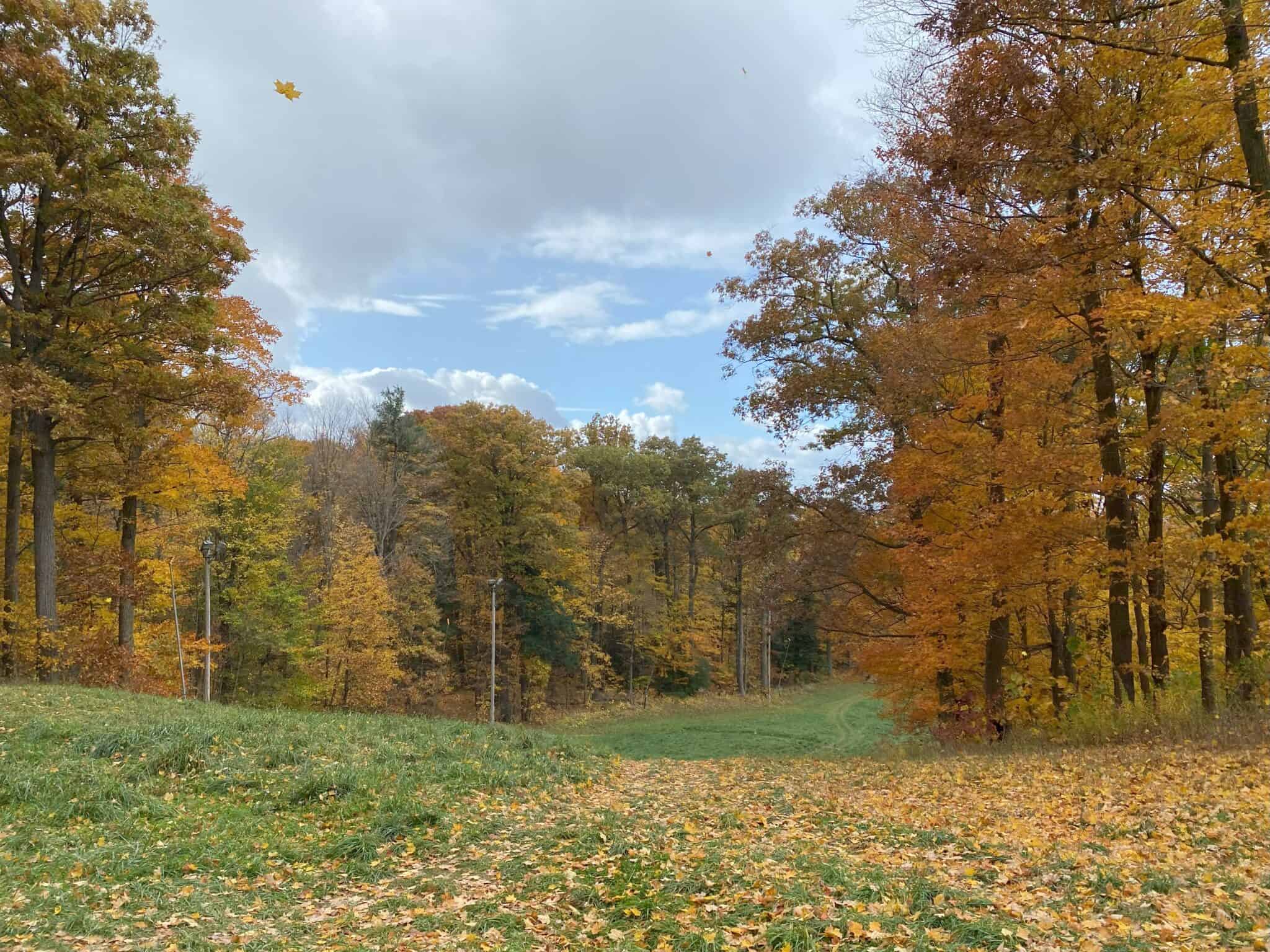 Outdoor Fun at Kelso Conservation Area in Milton, Ontario - Gone With ...