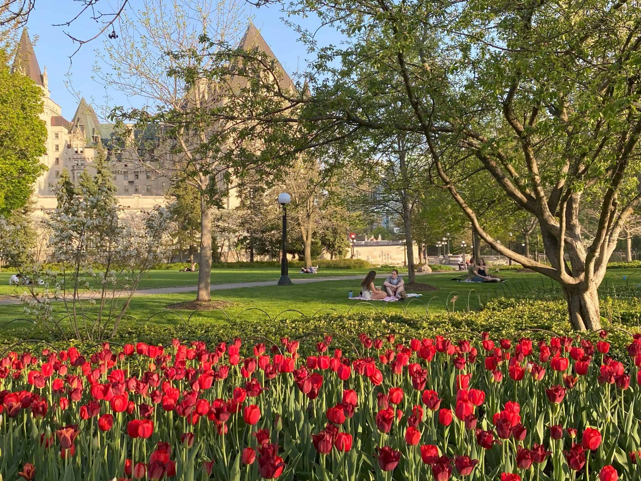 Celebrate Spring with a Visit to the Canadian Tulip Festival - Gone ...