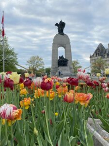 Celebrate Spring with a Visit to the Canadian Tulip Festival - Gone ...