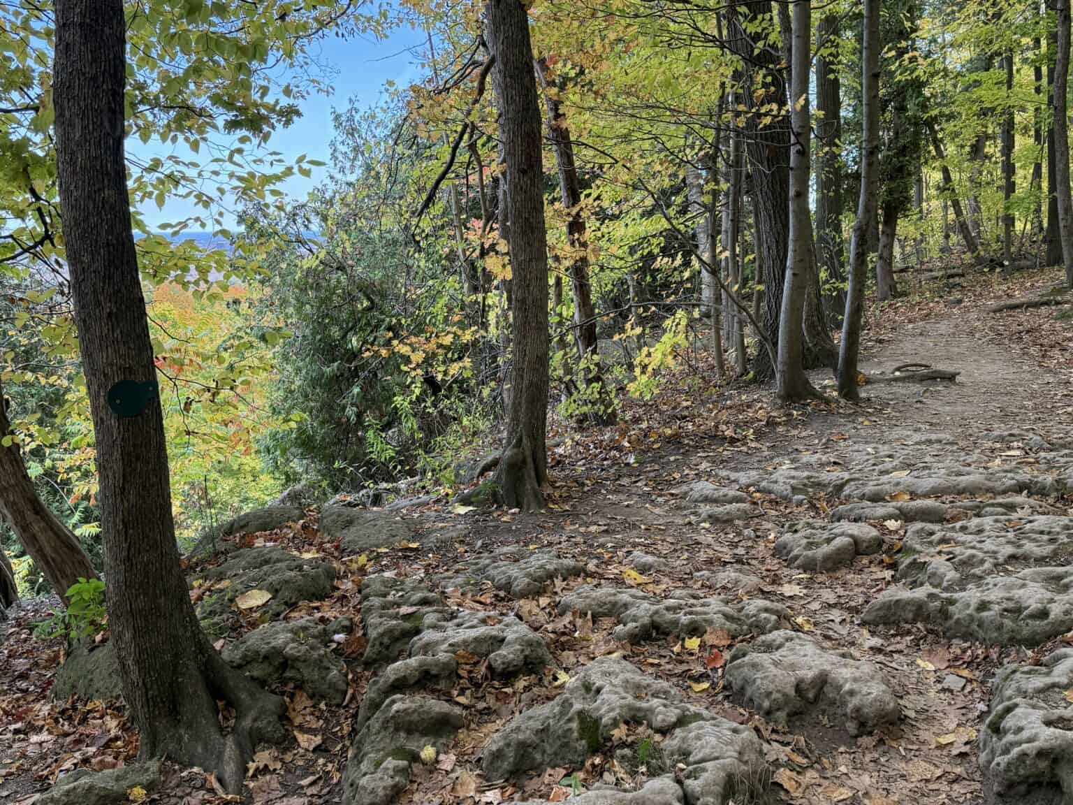 Hiking and Spectacular Views at Mount Nemo Conservation Area - Gone ...