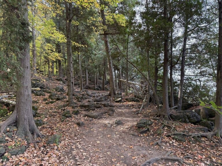 Hiking and Spectacular Views at Mount Nemo Conservation Area - Gone ...