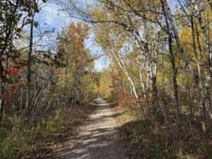 Hiking and Spectacular Views at Mount Nemo Conservation Area - Gone ...
